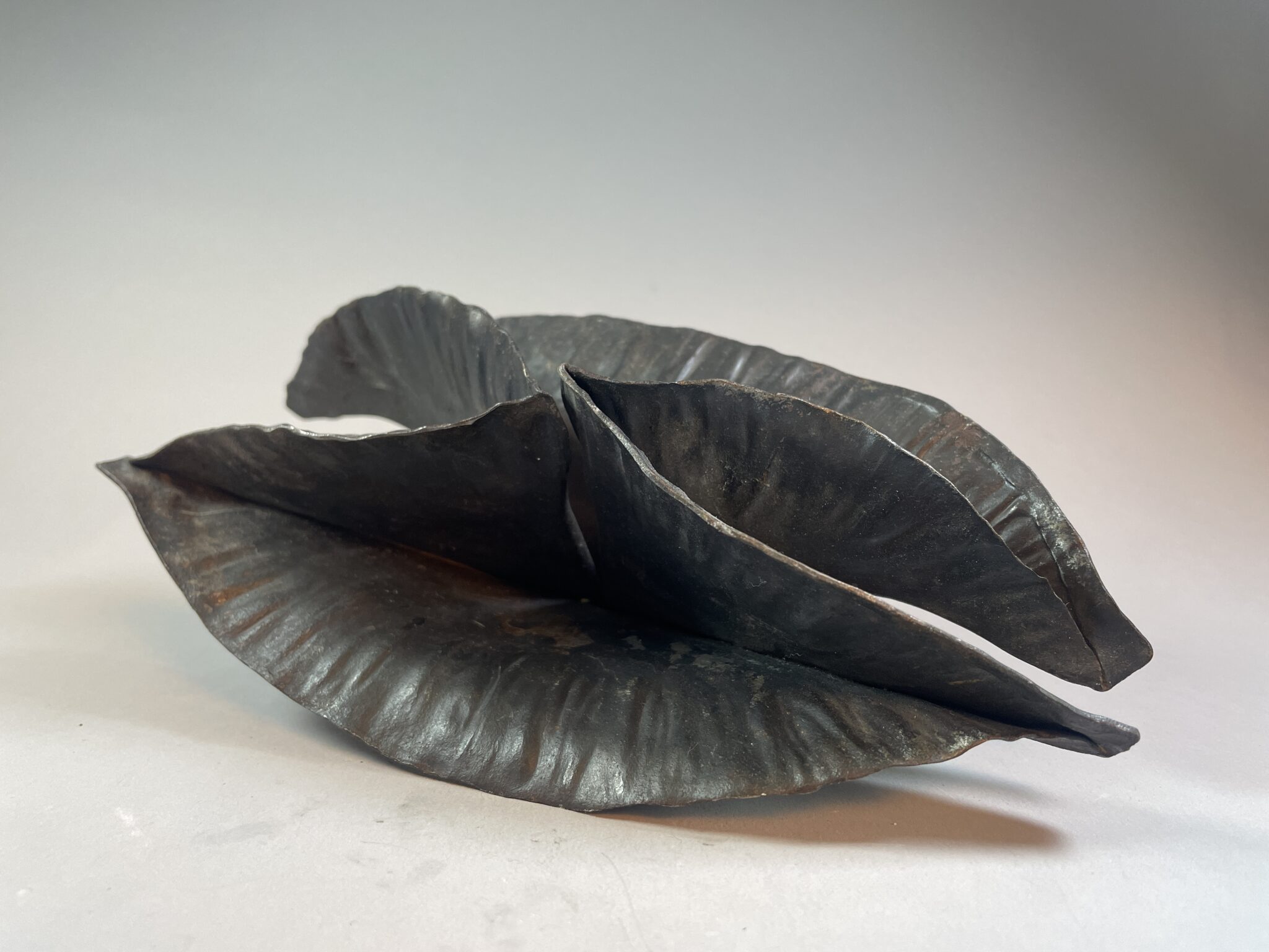 Foldforming Inventor Charles Lewton-Brain Joins NBCCD as Visiting ...