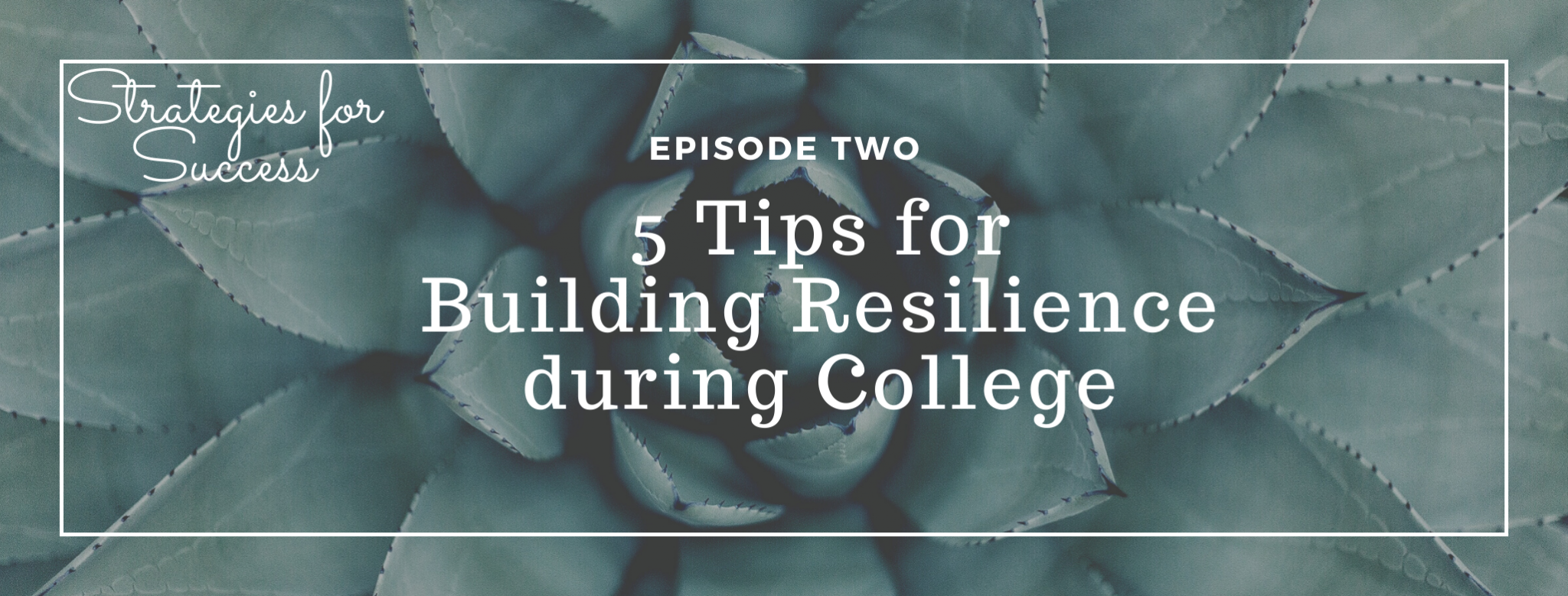 Strategies for Success, Episode Two: 5 Tips for Building Resilience ...