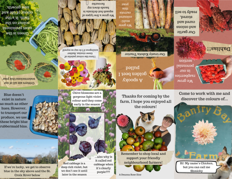 FVA Online Student Wins Quoddy Quilters Scholarship - New Brunswick College of Craft and Design